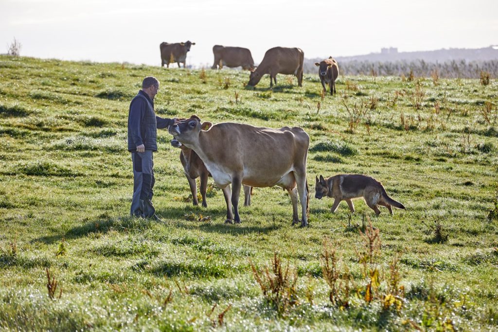 Denmark: a dairy country. Learn more about the host of the IDF Global ...
