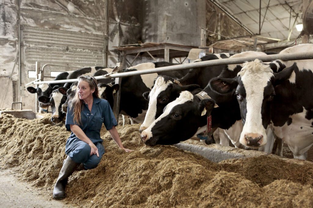 Dairy Sustainability Framework: continuous improvement with the dairy ...