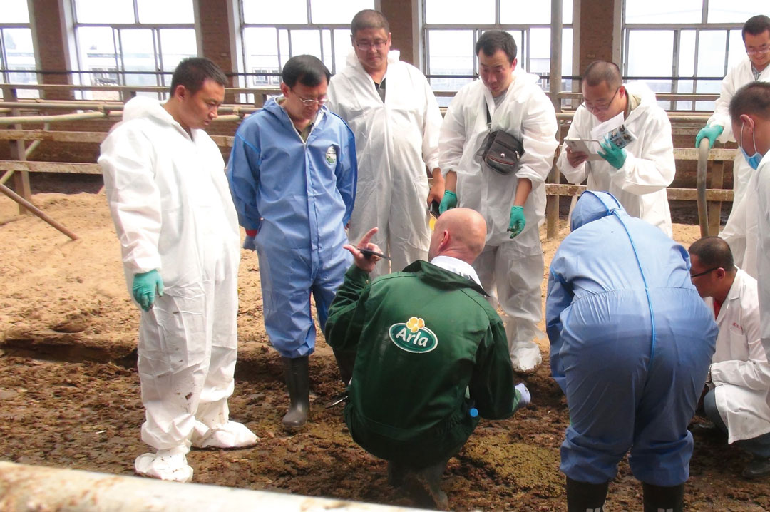 Denmark: Arla Foods extends cooperation to dairy farming in China (2020 ...