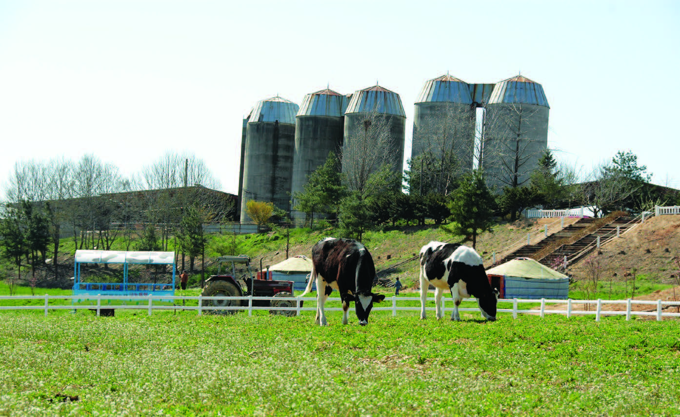 Idf Dairy Innovation Awards Idf Idf Is The Leading Source Of