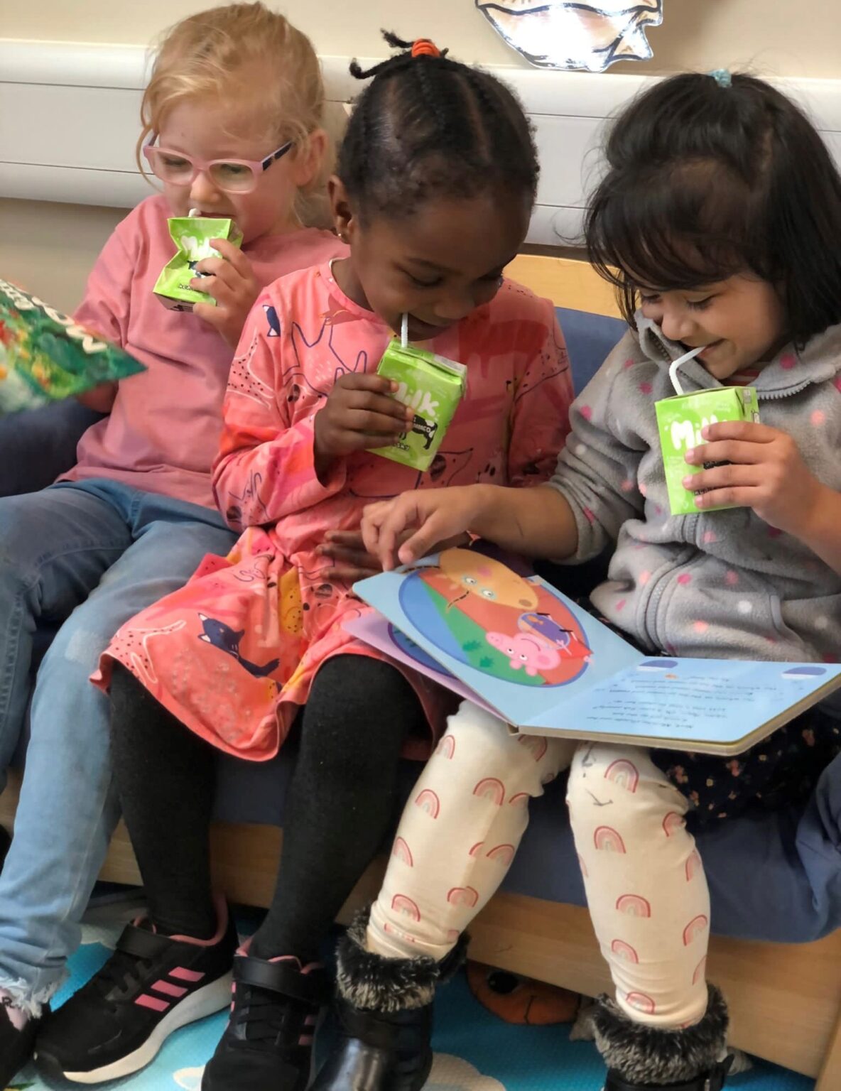 UK School Milk Schemes - IDF - IDF is the leading source of scientific ...