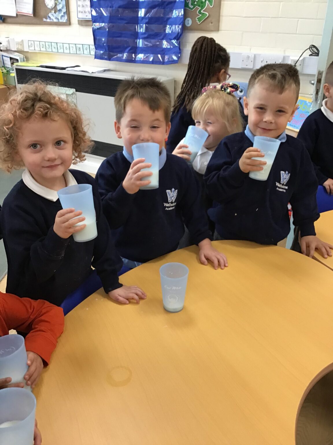 UK School Milk Schemes - IDF - IDF is the leading source of scientific ...